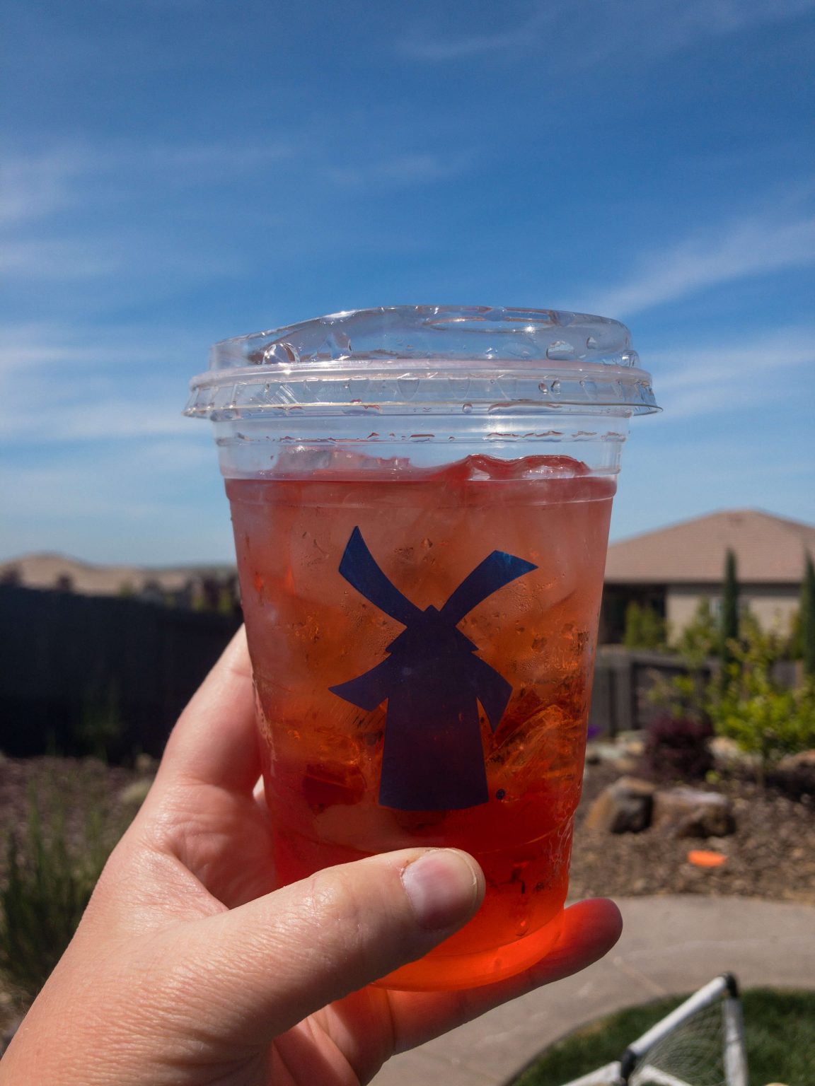 The Dutch Bros Rebel: An Energy Kick Without the Coffee - What The Froth