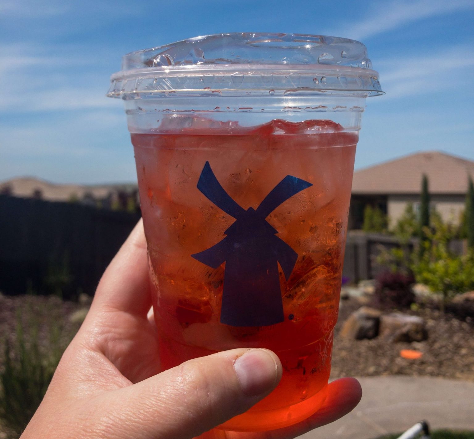 24 Dutch Bros Rebels You’ll Love + Secret Menu Drinks! - What The Froth