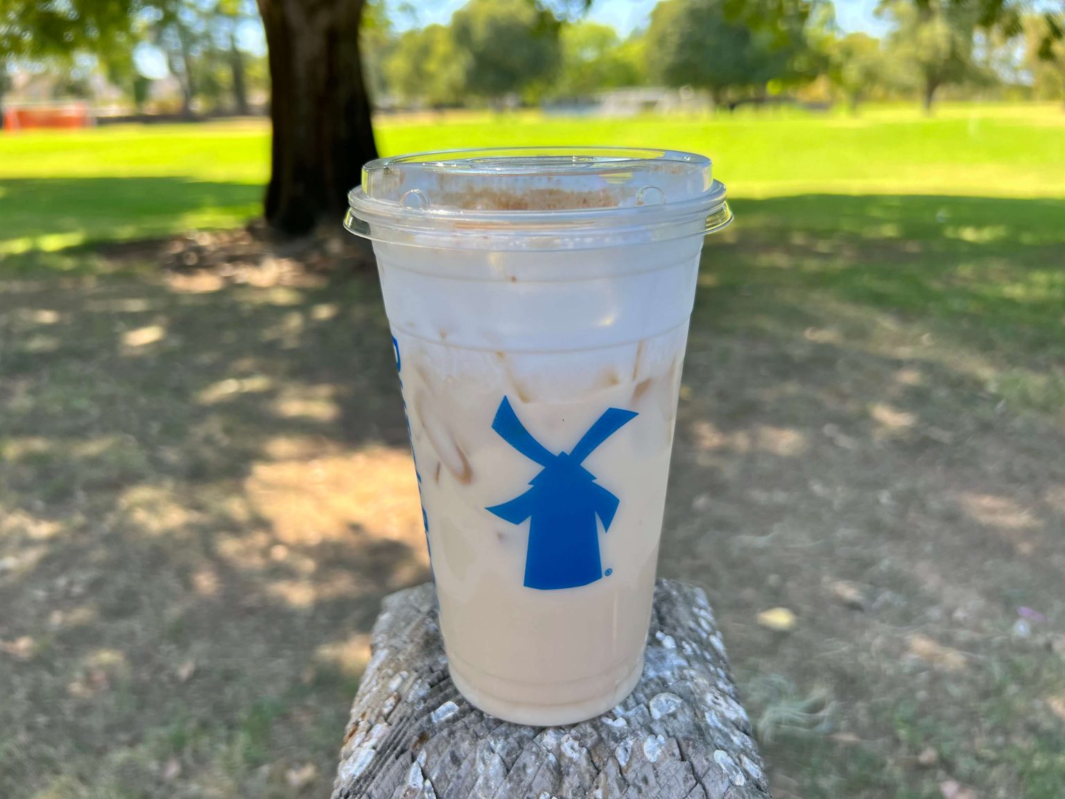 5 Best Dutch Bros Chai Drinks That Are Totally Delicious - What The Froth