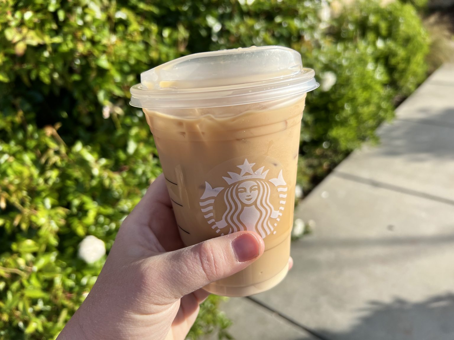 All About the Vanilla Sweet Cream Cold Brew – The BEST Cold Brew Drink ...