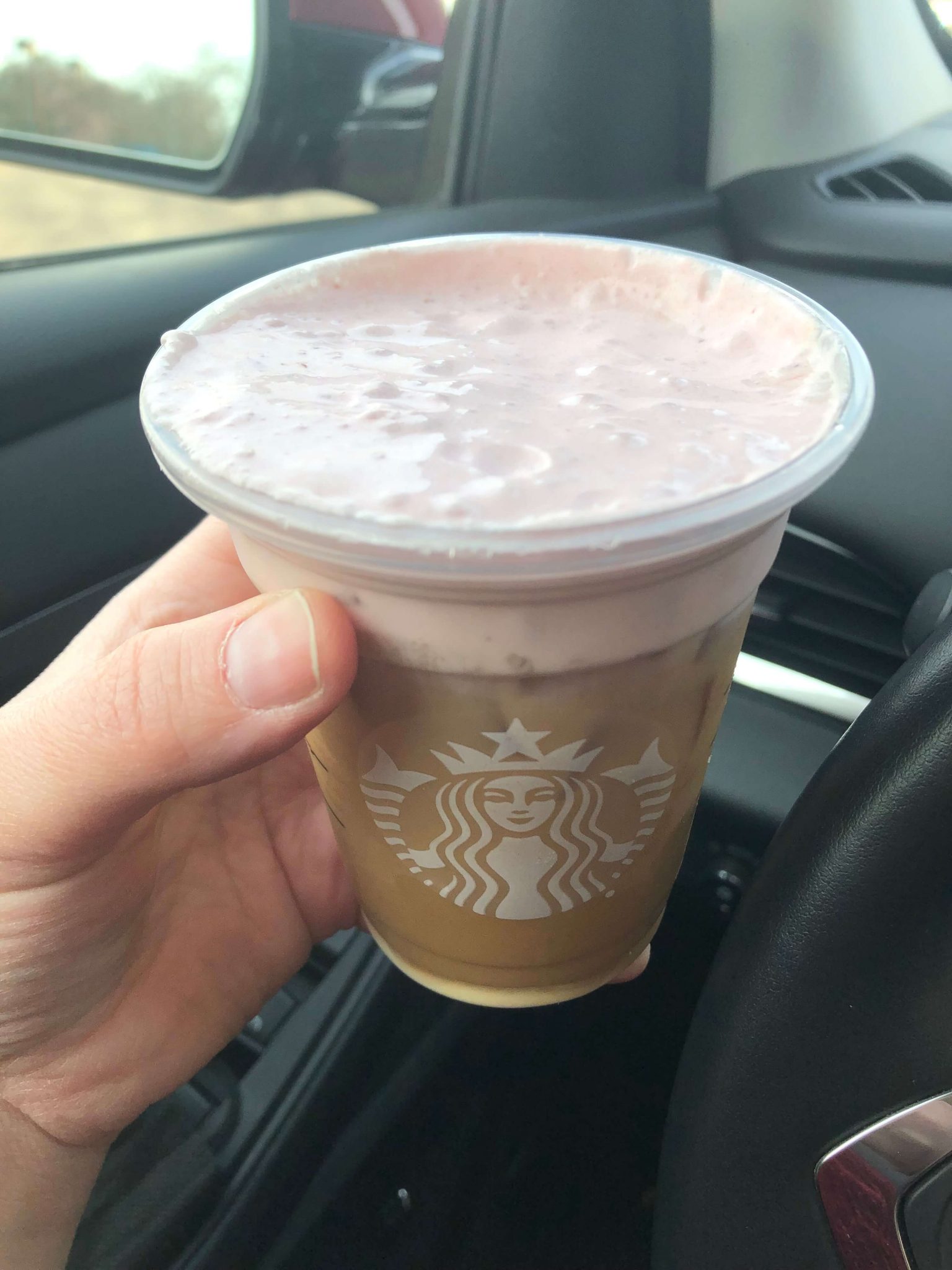 14 Most Delicious Iced Coffee Drinks at Starbucks You’ll Love! - What ...
