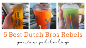 5 Best Dutch Bros Rebel Flavors from The DB Experts - What The Froth