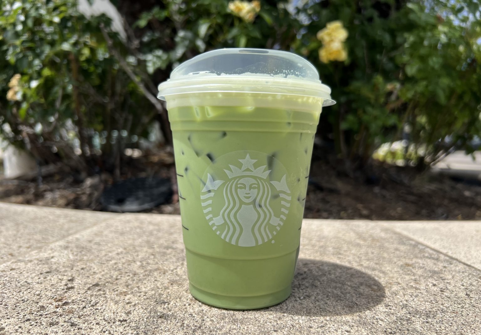 Green With…Matcha? All About Starbucks Matcha Latte! - What The Froth