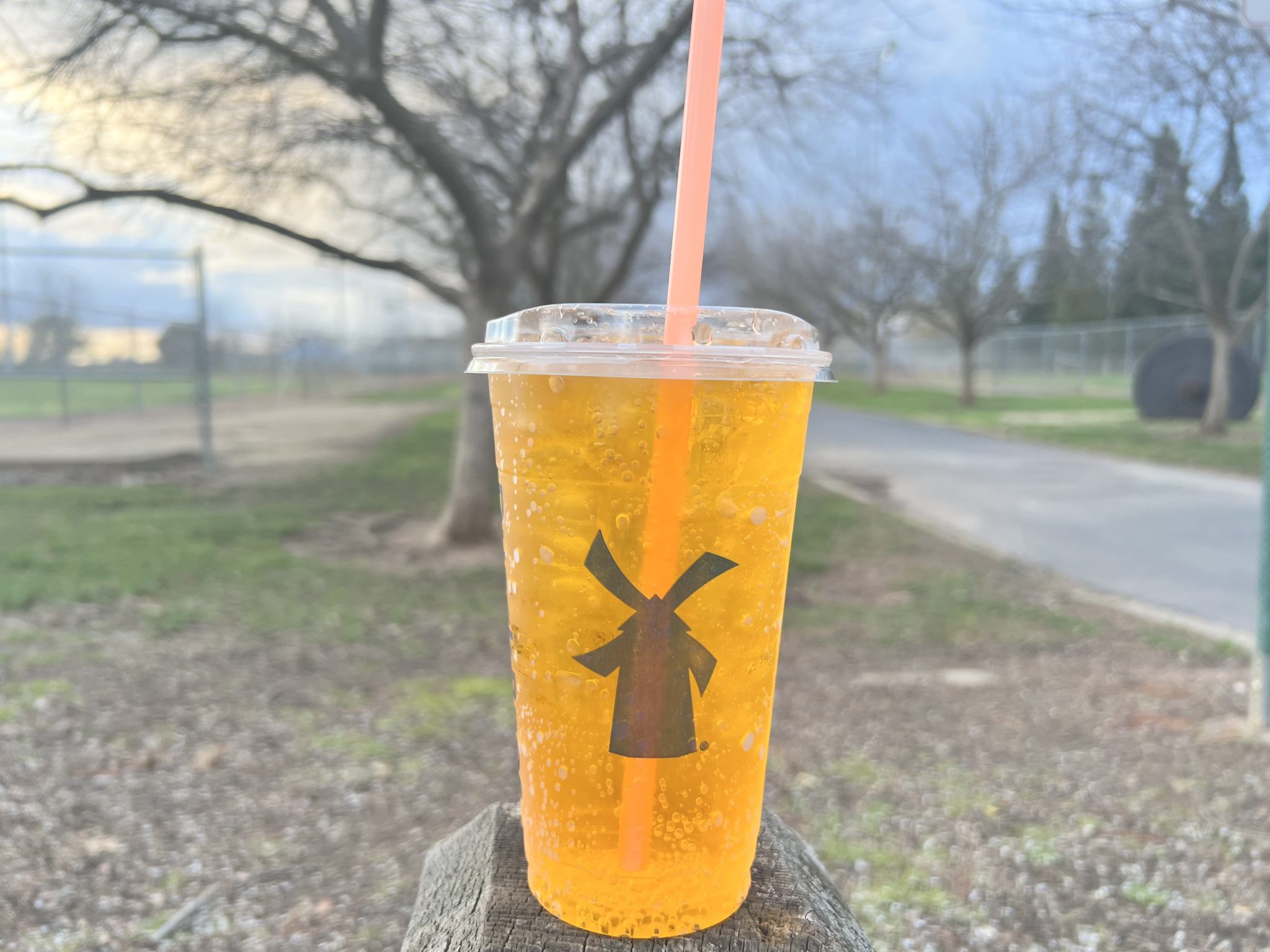 9 Best Dutch Bros Sodas (Italian Sodas) - What The Froth