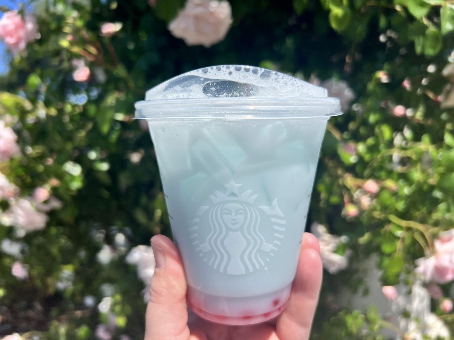 NEW Starbucks Boba Tea Drinks with Raspberry Popping Pearls - What The ...