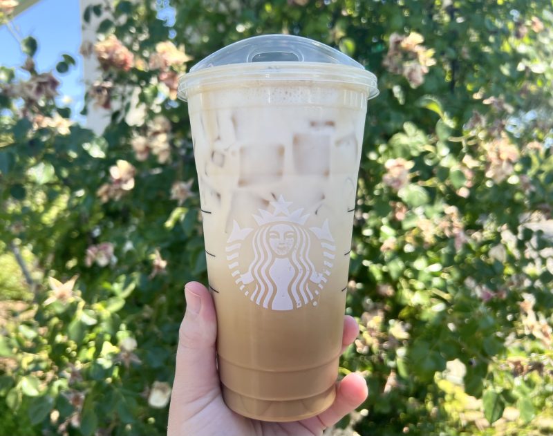 6 New Starbucks Iced Coffee Drinks To Try - What The Froth