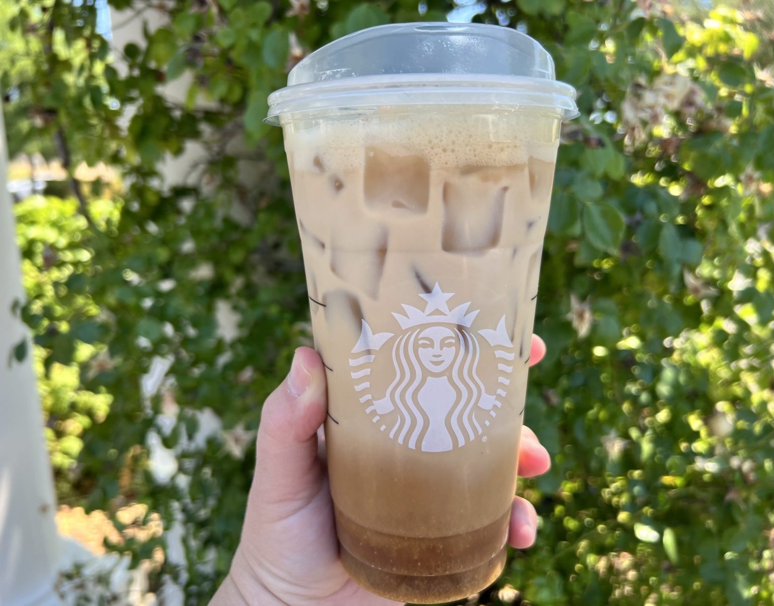6 New Starbucks Iced Coffee Drinks To Try - What The Froth