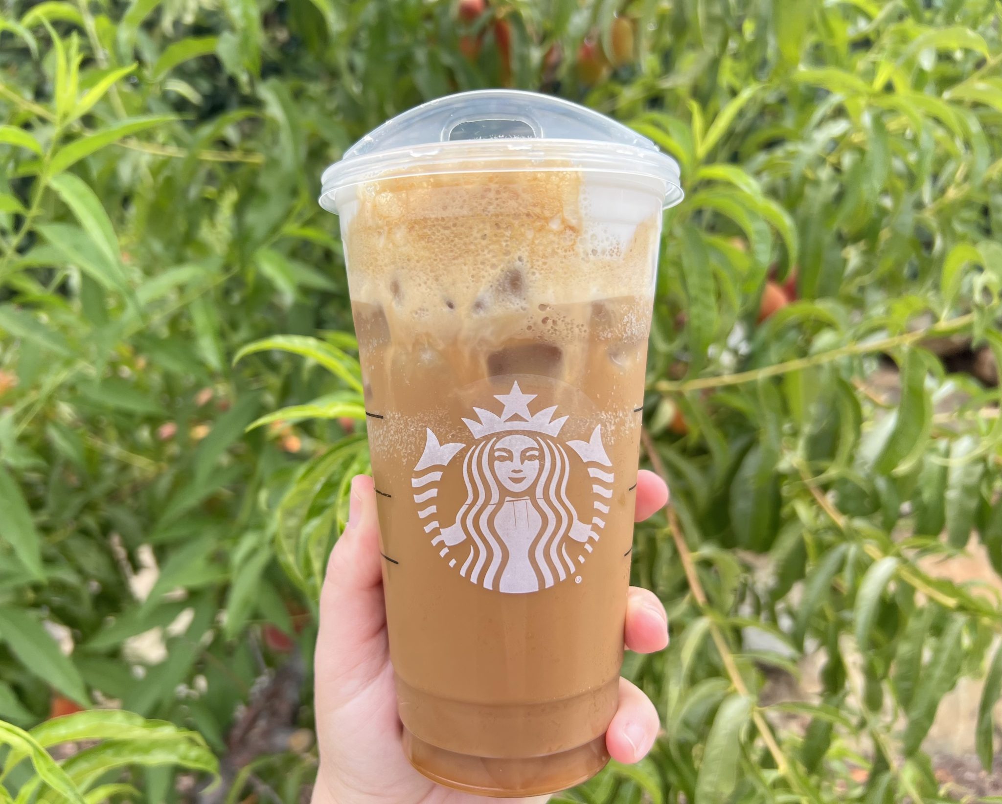 6 New Starbucks Iced Coffee Drinks To Try - What The Froth