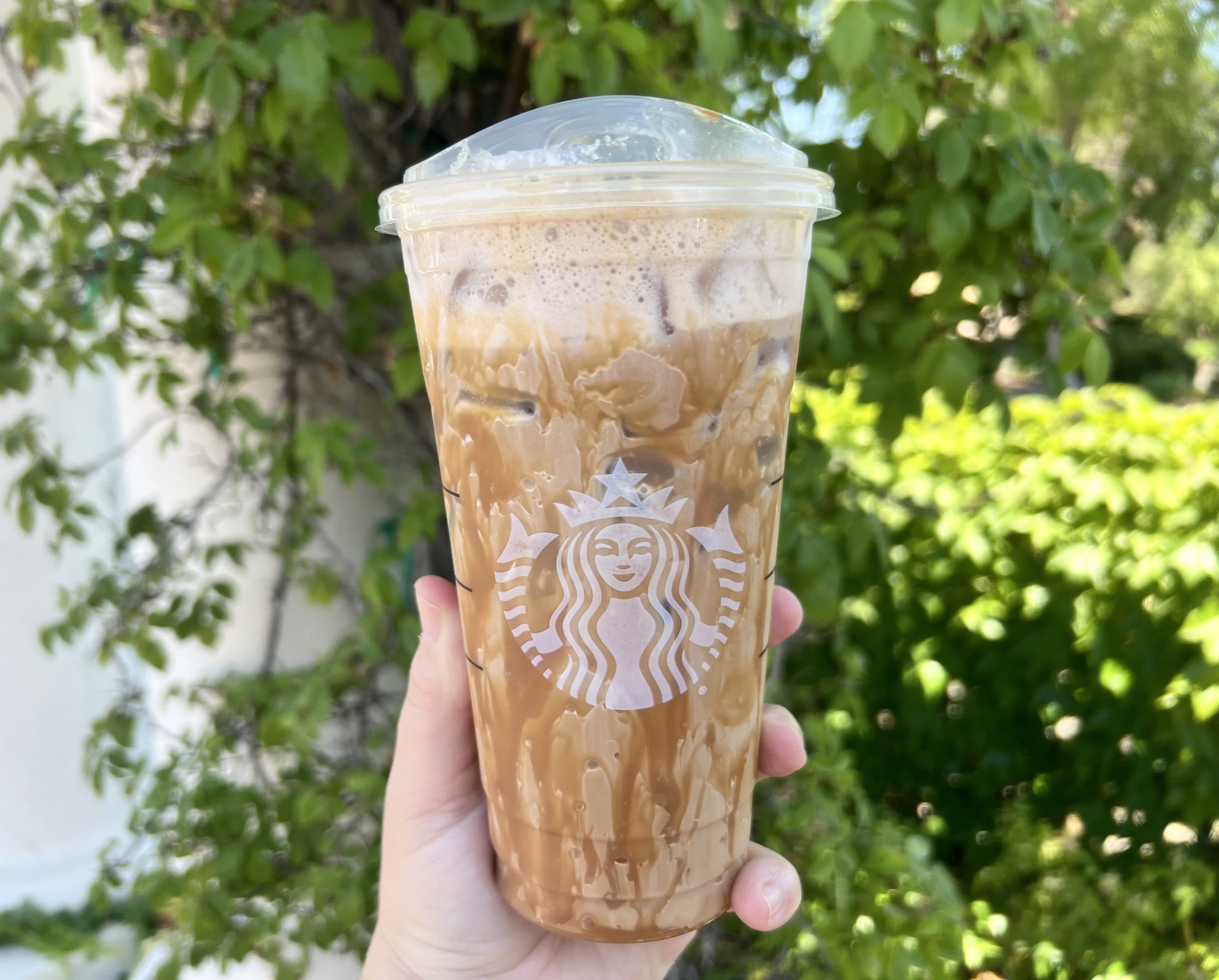 6 New Starbucks Iced Coffee Drinks To Try - What The Froth